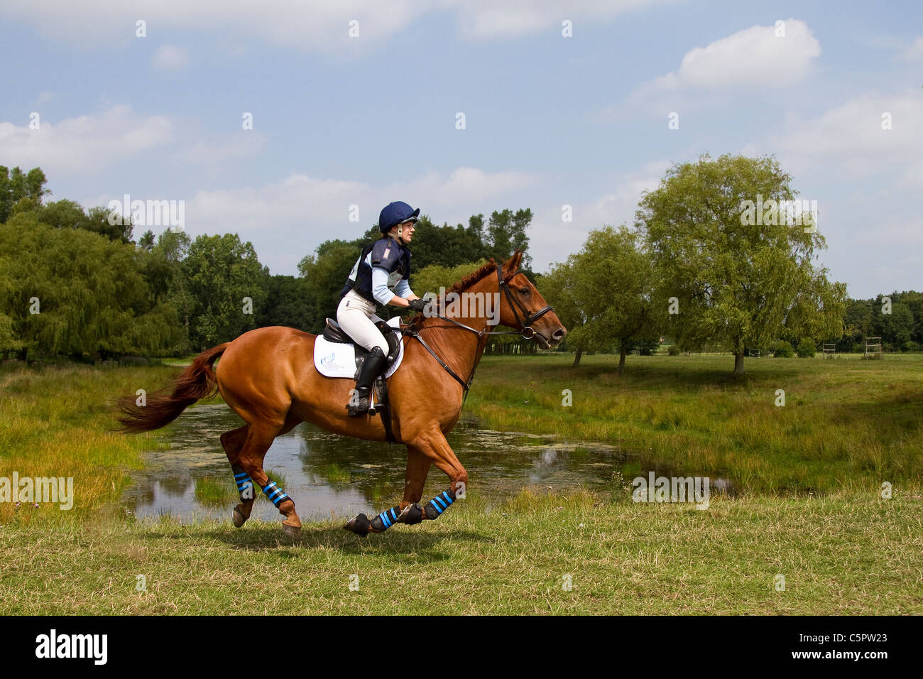 Cross Country lakeside gallop, agility, competitive, course, equestrian ...