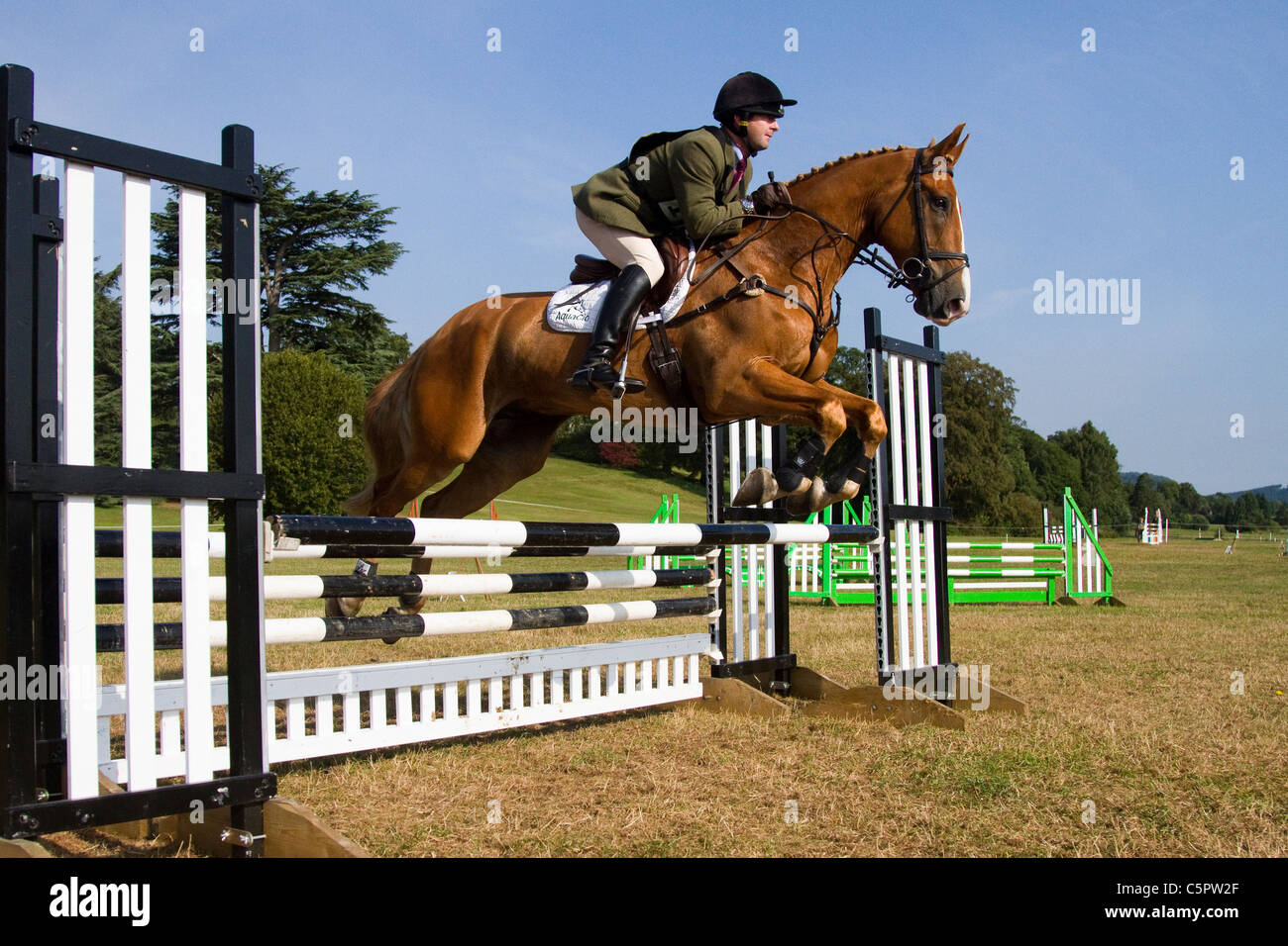 Horse & rider at cross-country horse trails; agility test, competitive ...