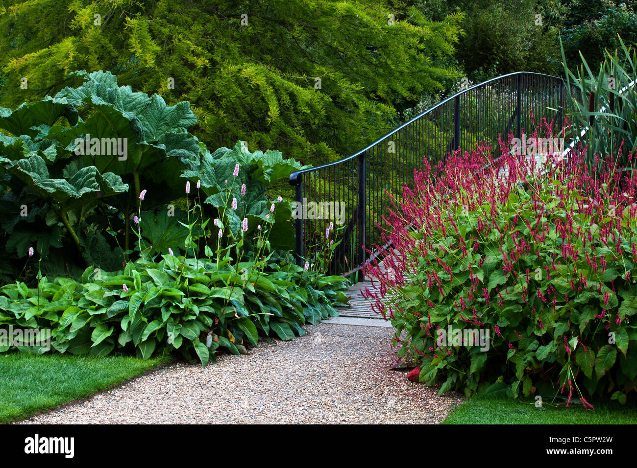 Footbridge over Ornamental Pond at RHS Hyde Hall Stock Photo - Alamy