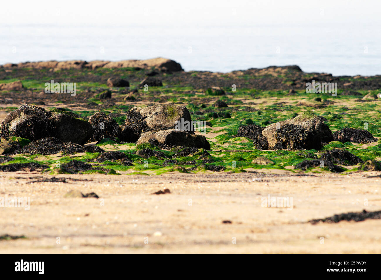 Narrow look hi-res stock photography and images - Alamy