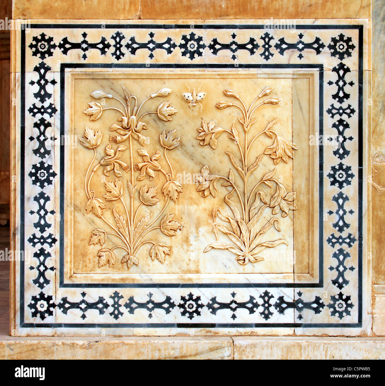 Indian pol hi-res stock photography and images - Alamy