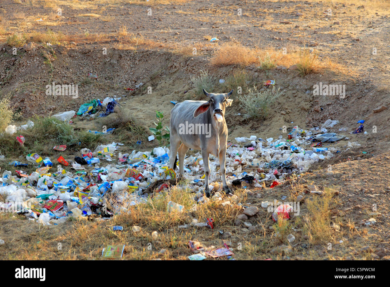 Dumping ground hi-res stock photography and images - Alamy