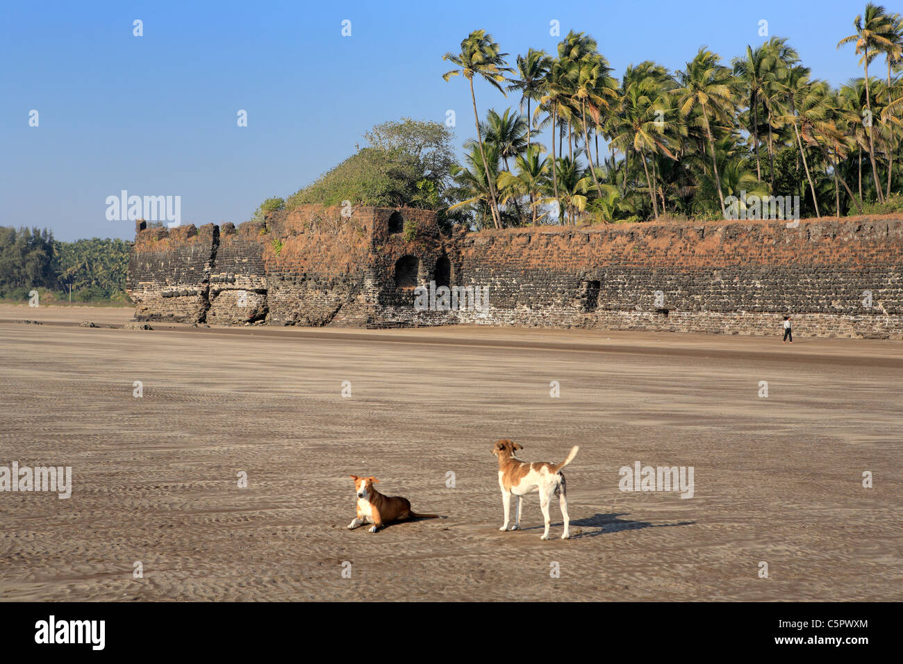 Revdanda beach hi-res stock photography and images - Alamy