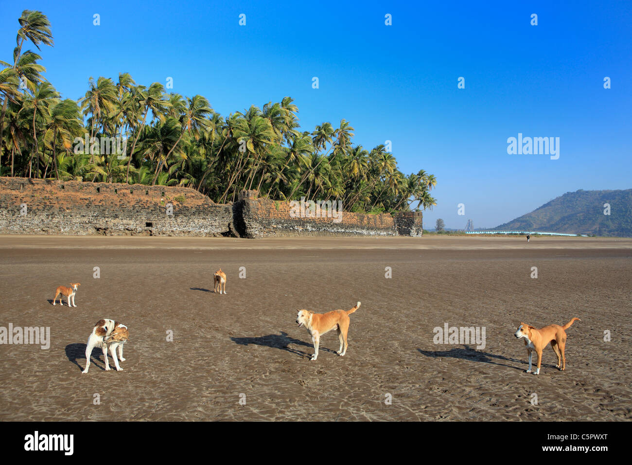 Konkan coast hi-res stock photography and images - Alamy