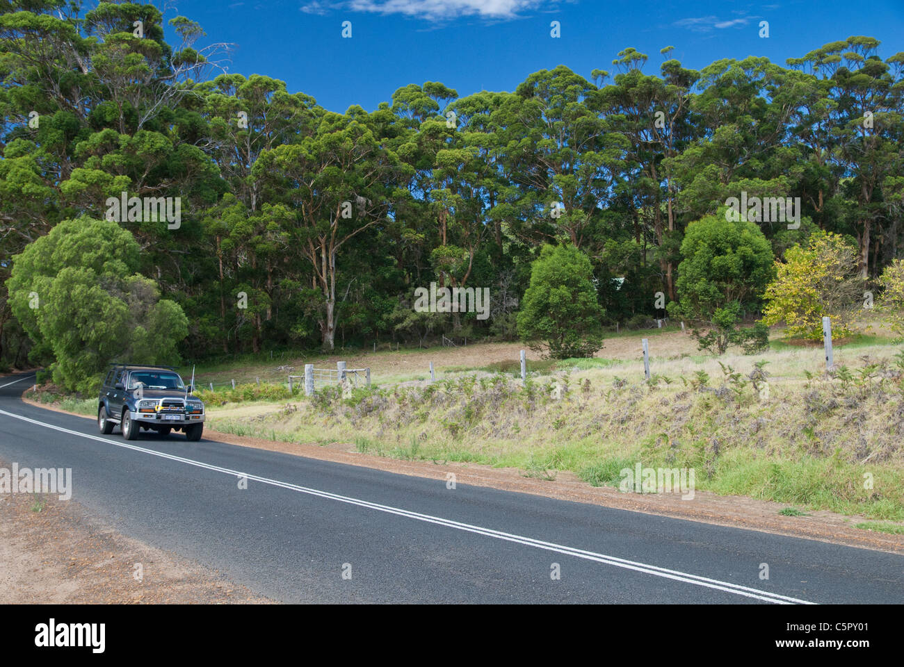 Caves Road in the Margaret River region of Western Australia Stock ...