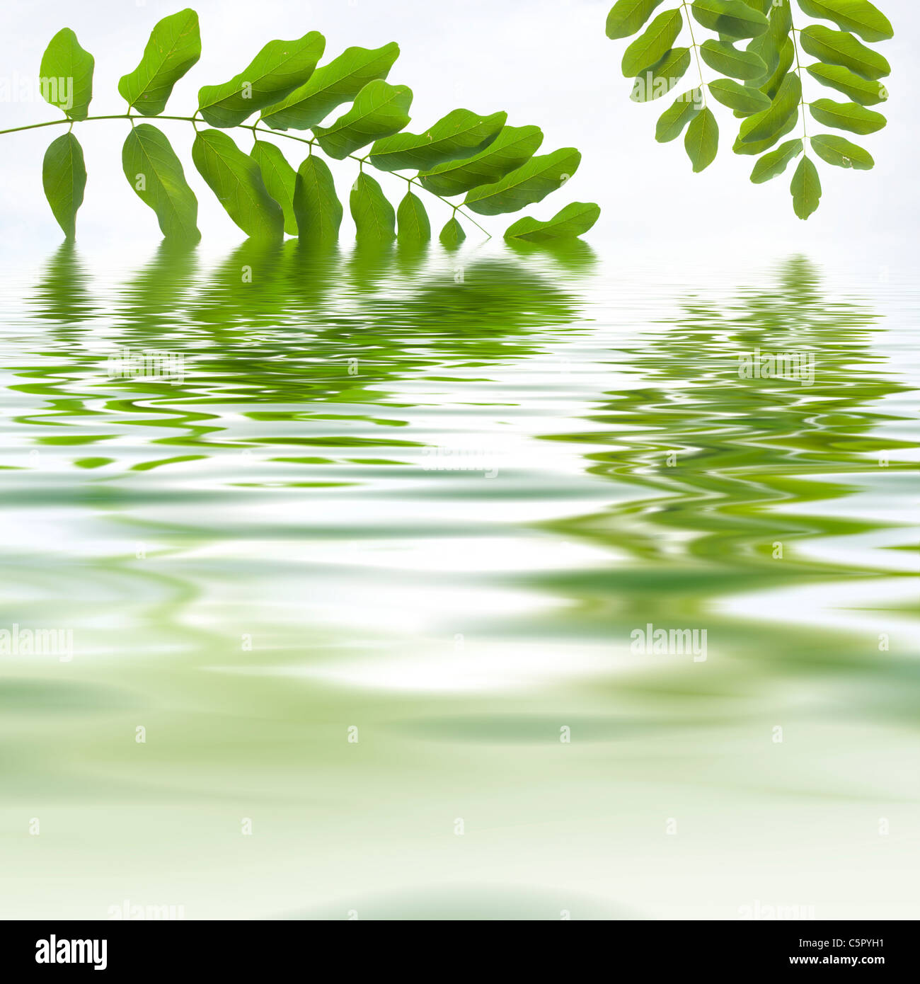 Freshnes water hi-res stock photography and images - Alamy