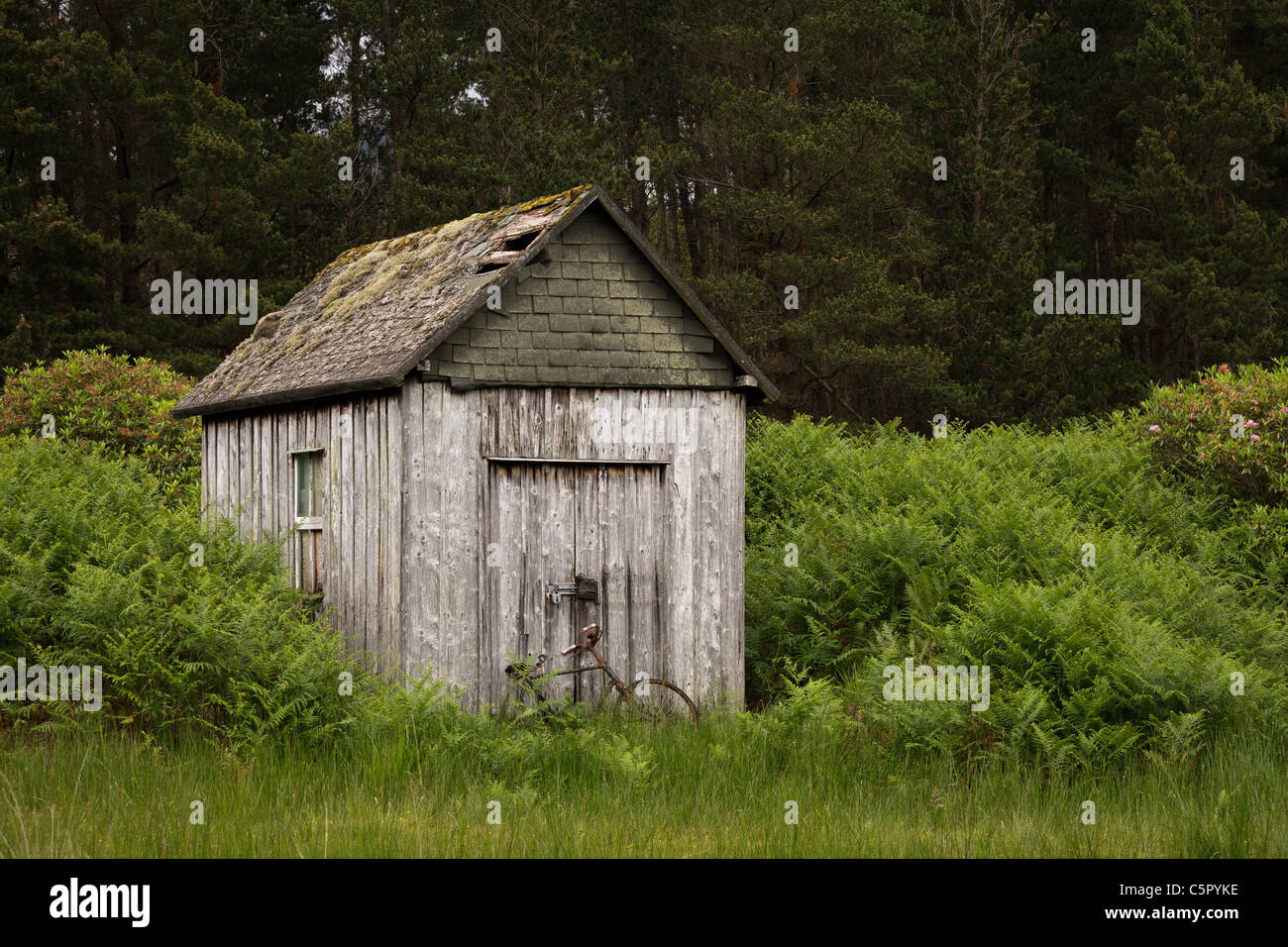 Ramshackle hut hi-res stock photography and images - Alamy