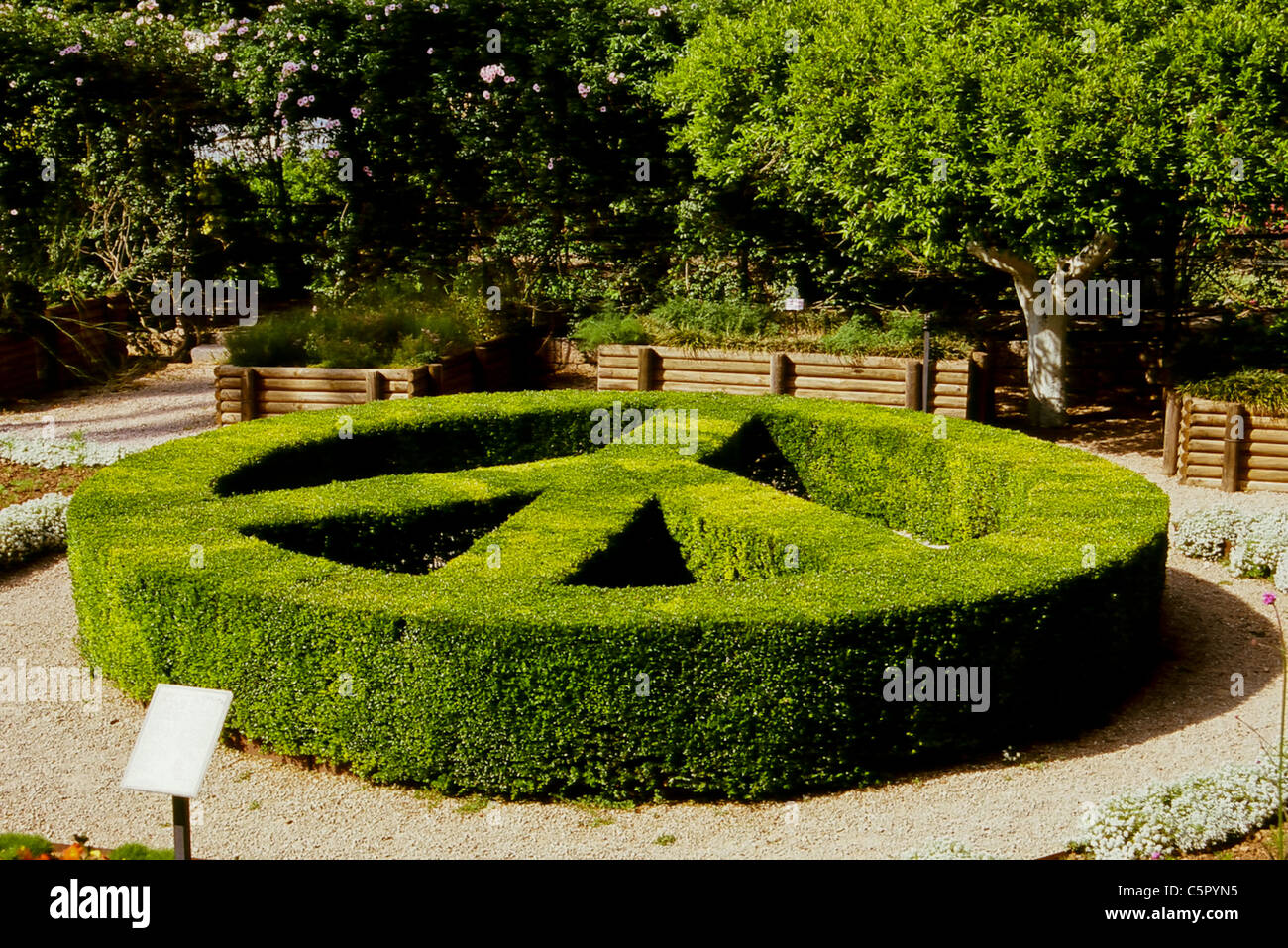 CND (campaign for nuclear disarmament) sign shaped hedge, Mallorca, The ...