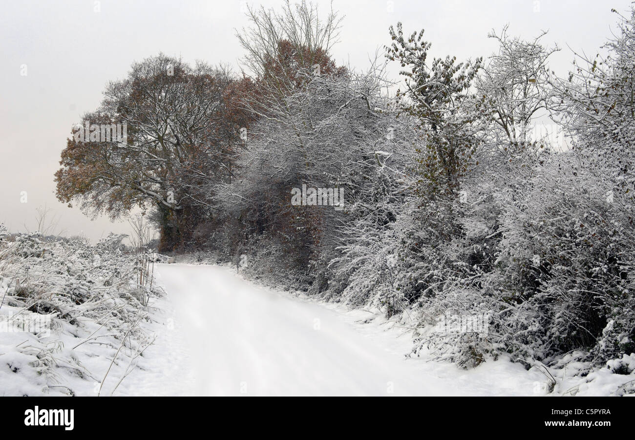 Winter hedgerow hi-res stock photography and images - Alamy