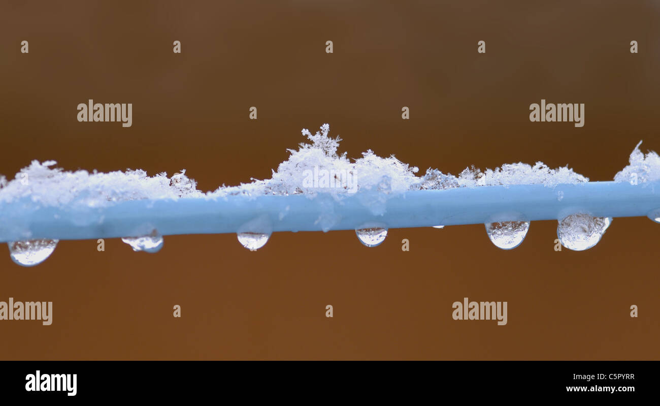 Snow crystals melting on washing line with water droplets forming below ...