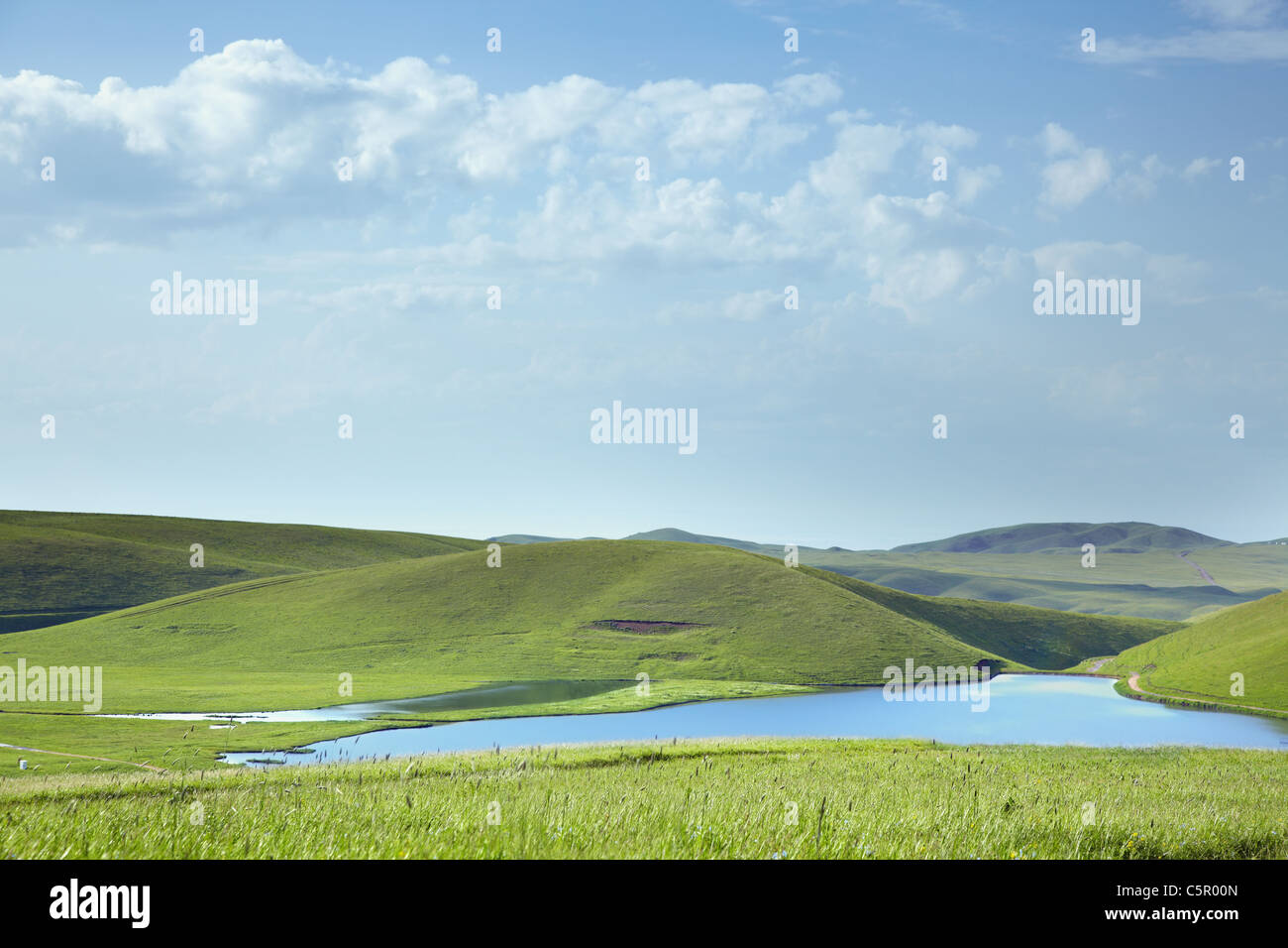 View on the green Alpine meadow with mountain lake. Natural light and ...