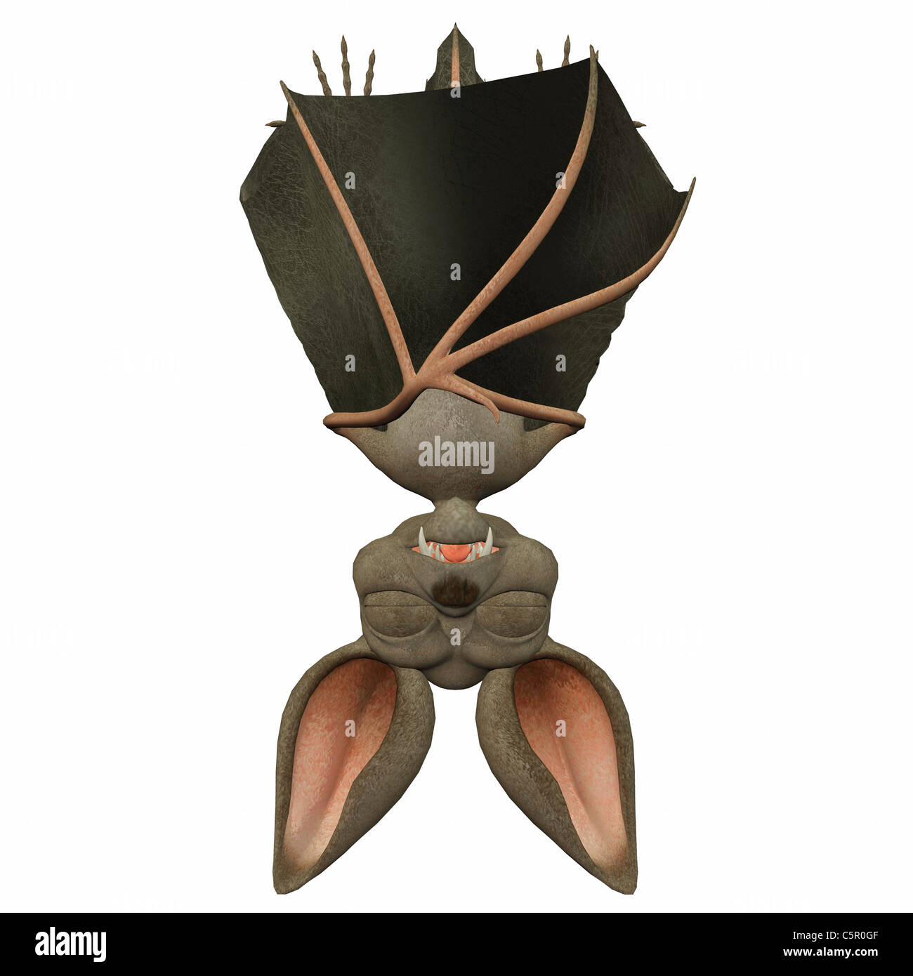 Cartoon bat hi-res stock photography and images - Alamy