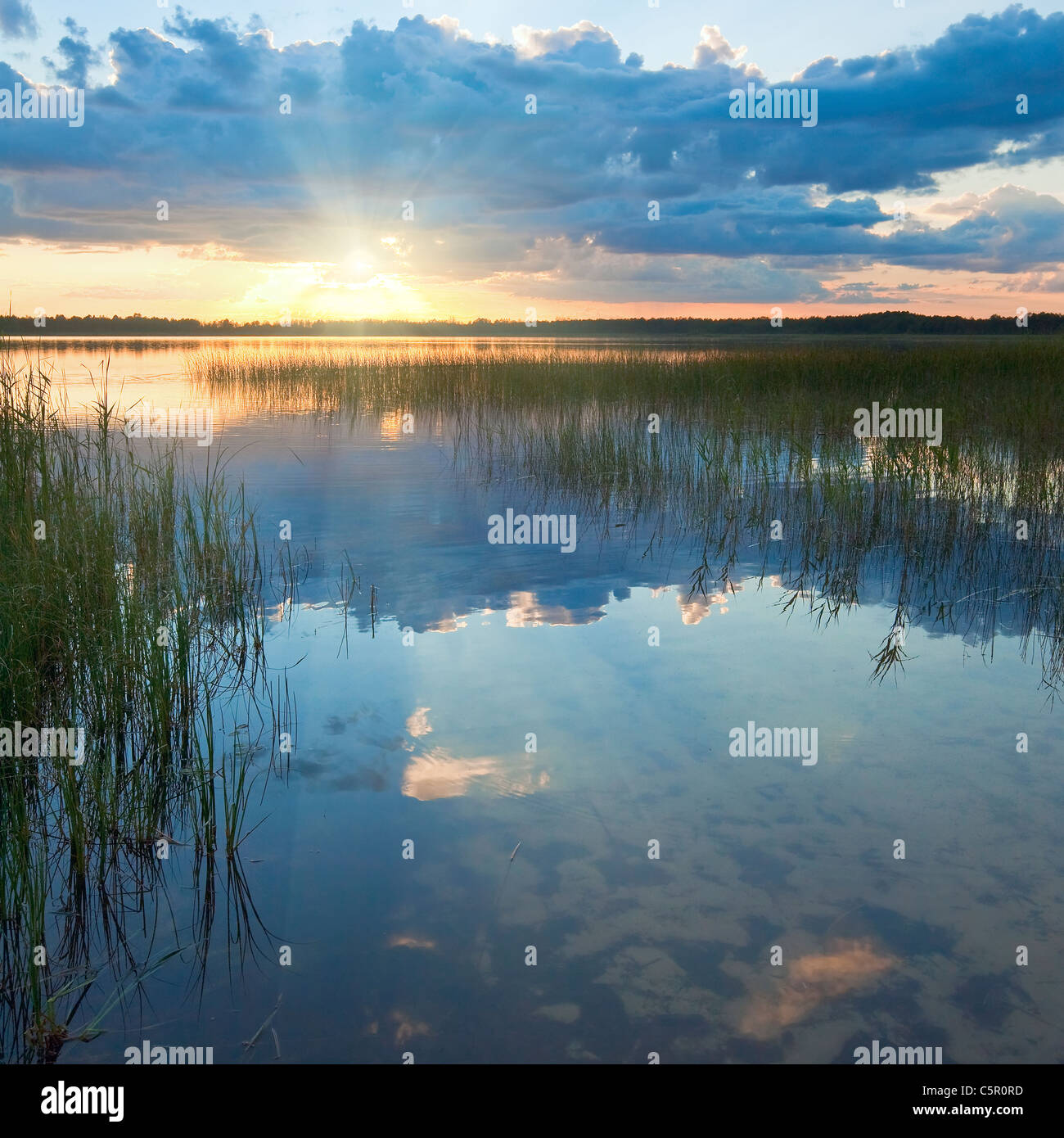 Rushy hi-res stock photography and images - Alamy