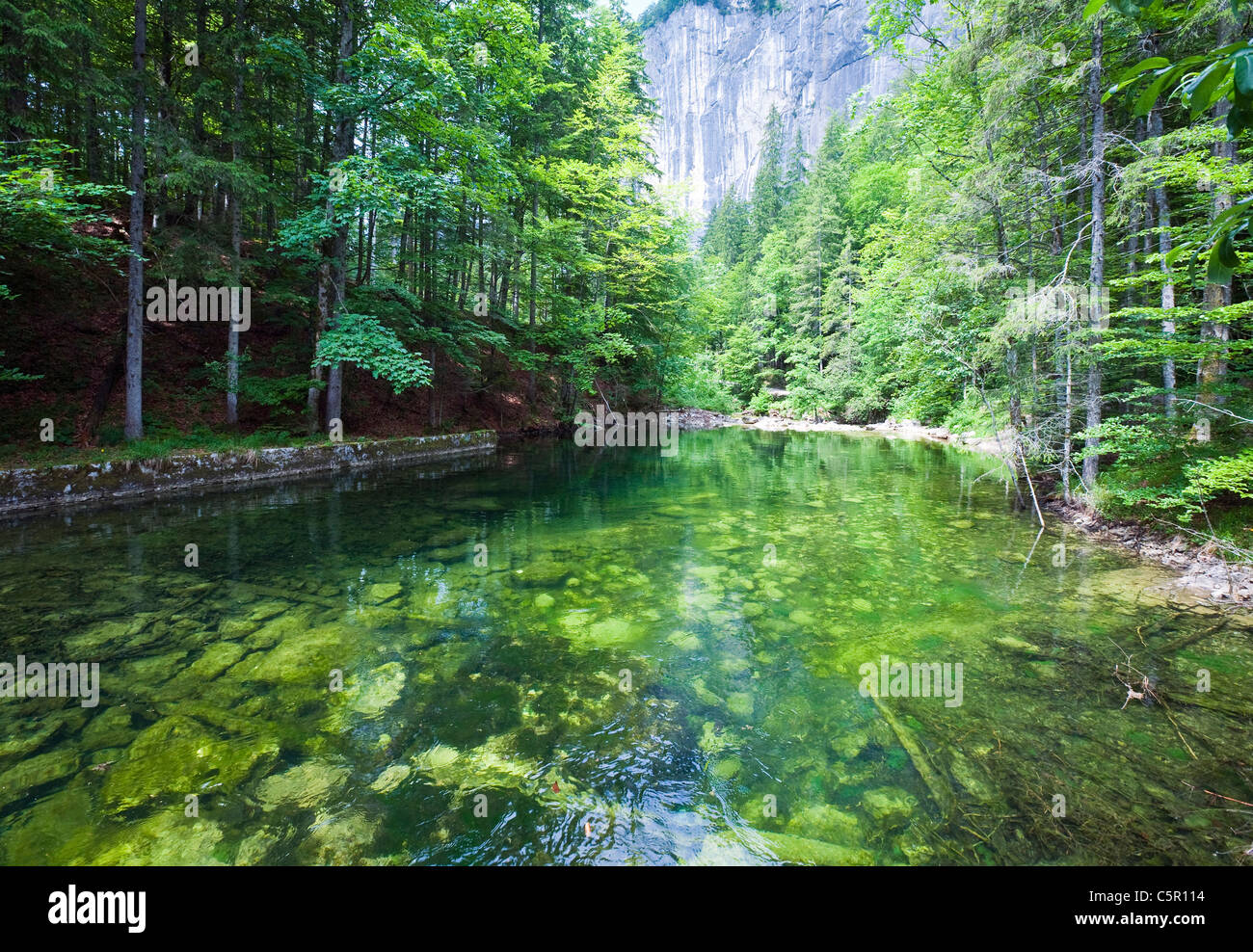 Beautiful summer Alpine lake Toplitzsee emerald green view (Austria ...