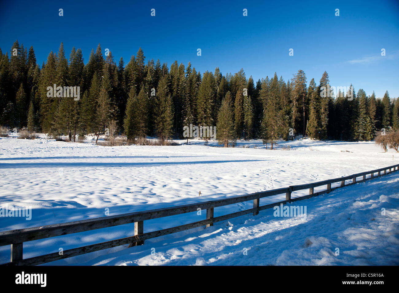 Snow covered open field with trees in the background, Yosemite National ...