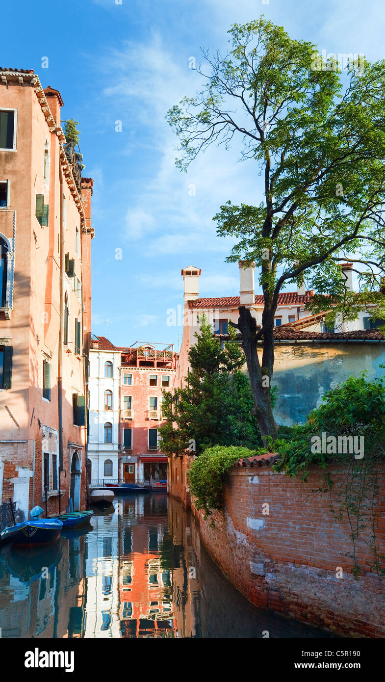 Nice summer venetian canal view with tree, moon in sky, and reflections ...