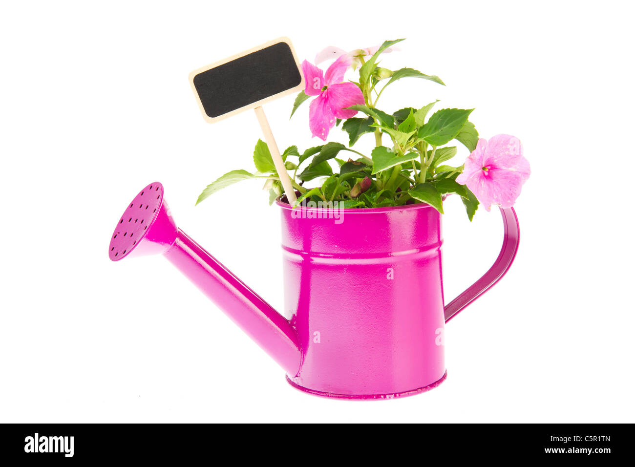 Pink watering can Cut Out Stock Images & Pictures - Alamy