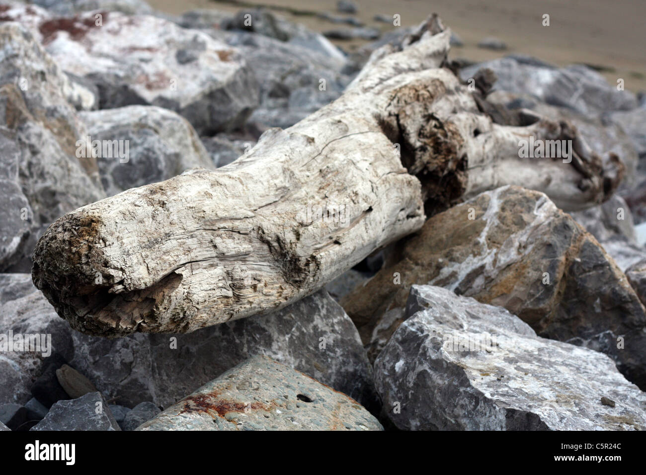 A washed up piece of wood Stock Photo - Alamy
