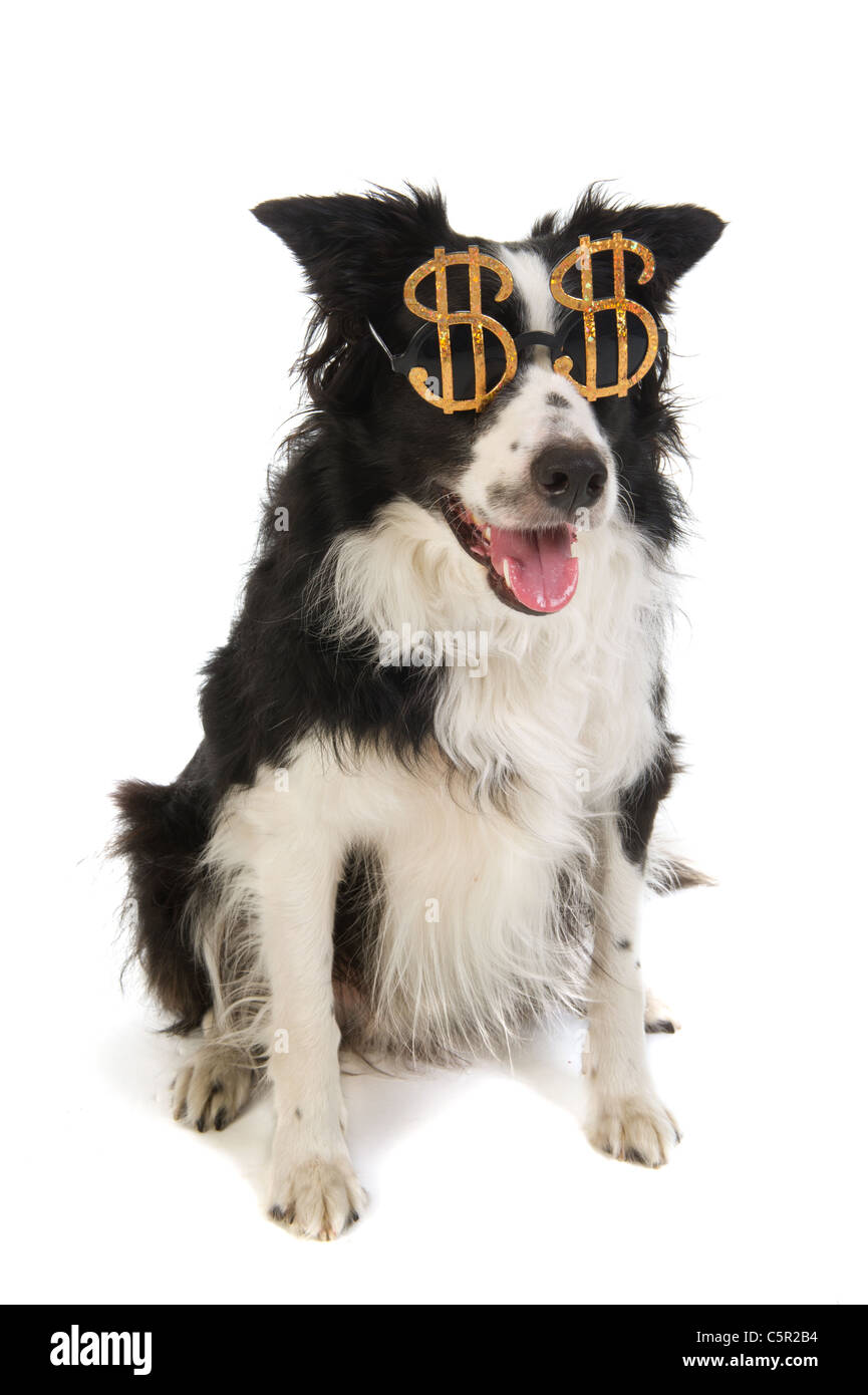 Dollar sign money glasses hi-res stock photography and images - Alamy