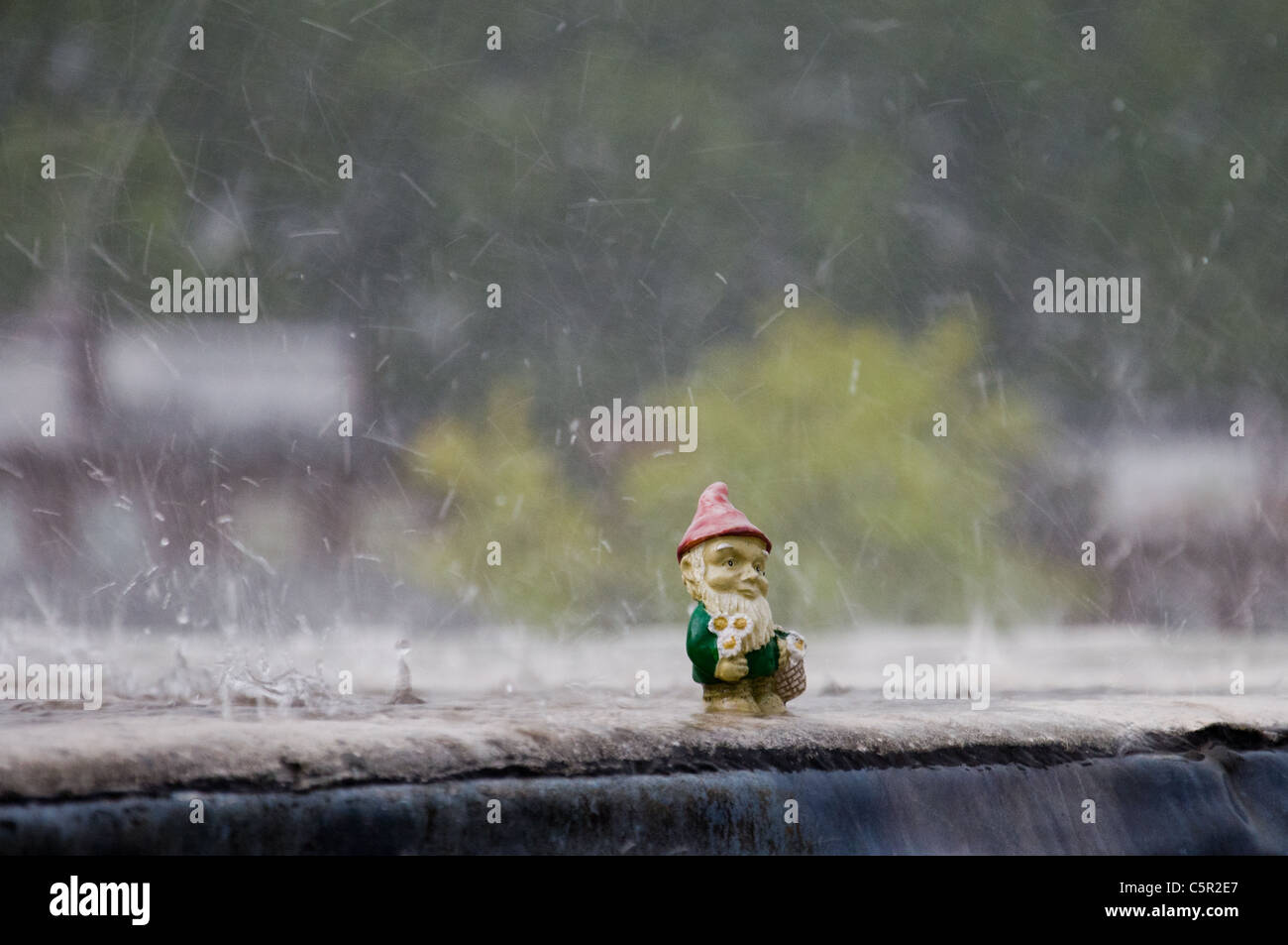Garden gnome in torrential rain on flat roof Stock Photo - Alamy