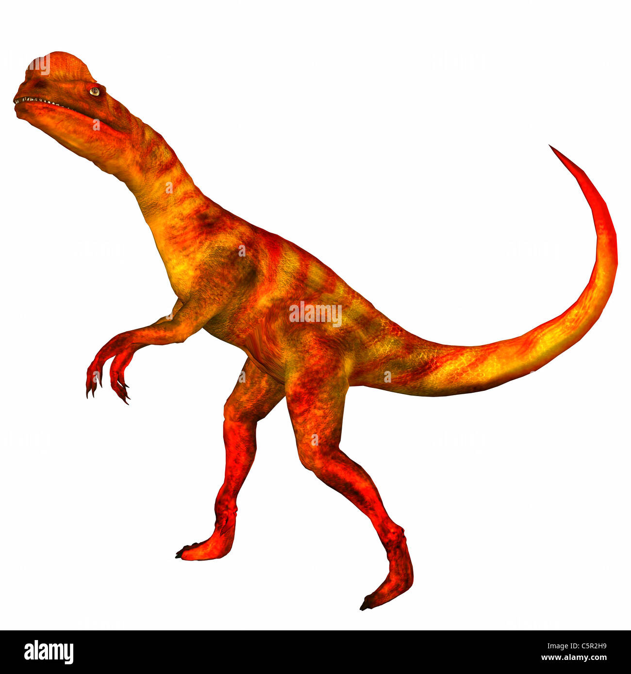 Illustration of a dinosaur (Dilophosaurus) isolated on a white background Stock Photo - Alamy