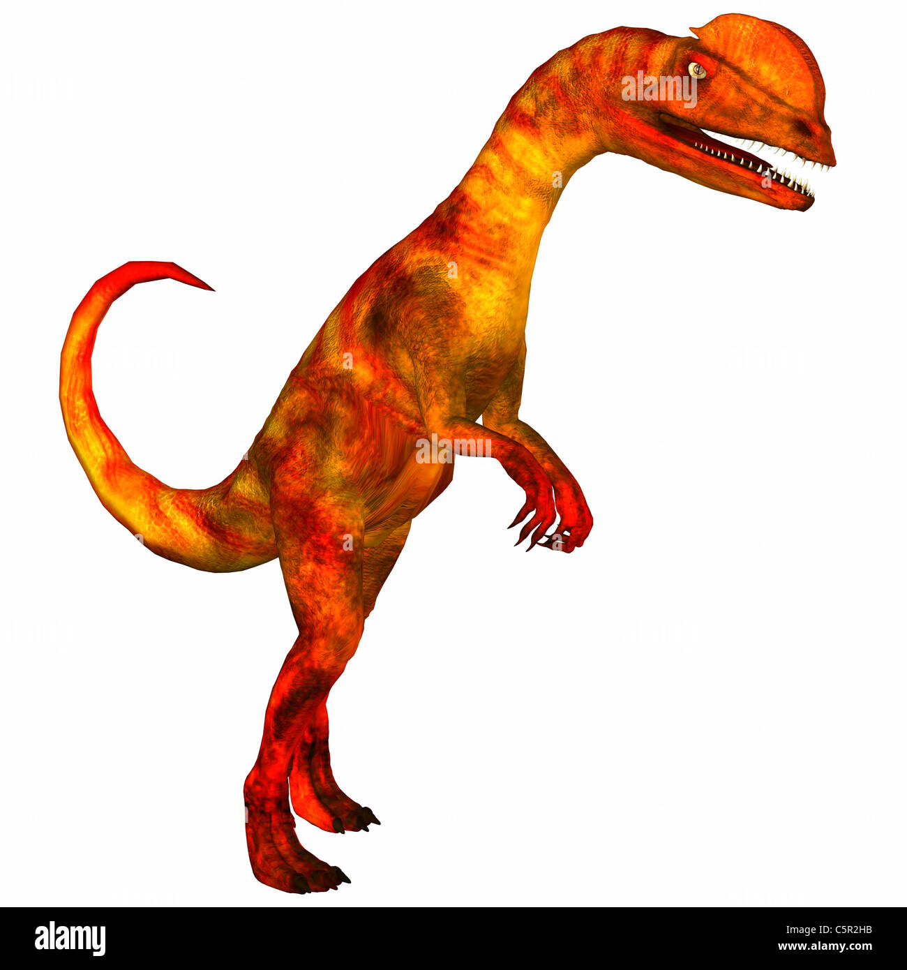 Illustration of a dinosaur (Dilophosaurus) isolated on a white ...