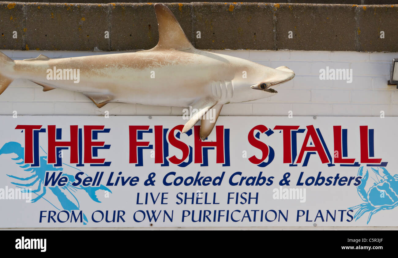 The Fish Stall Live and cooked crabs and lobsters with shark above sign ...