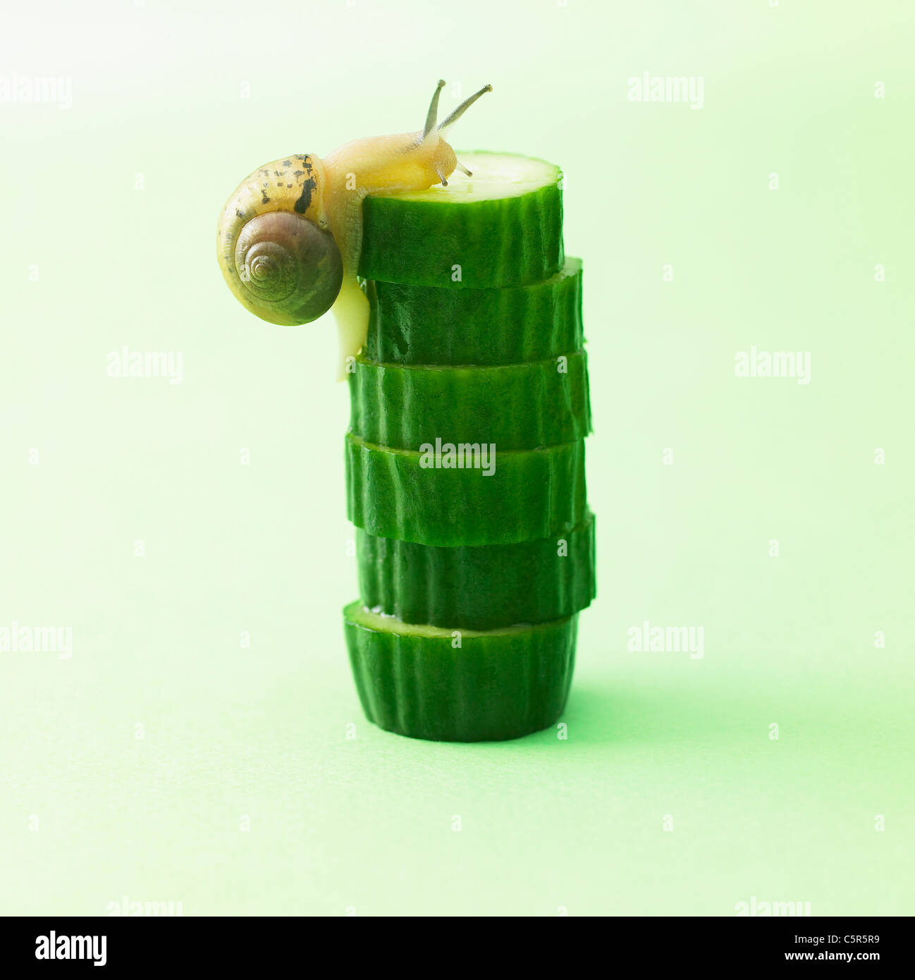 Pile fresh cut cucumber hi-res stock photography and images - Alamy