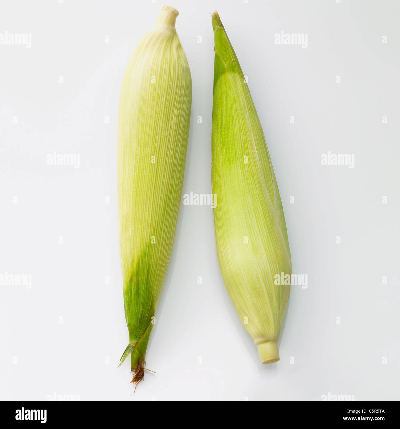 Corn husk studio hi-res stock photography and images - Alamy