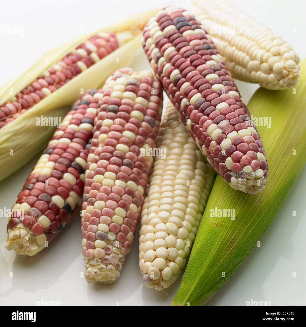 Corn husk studio hi-res stock photography and images - Alamy