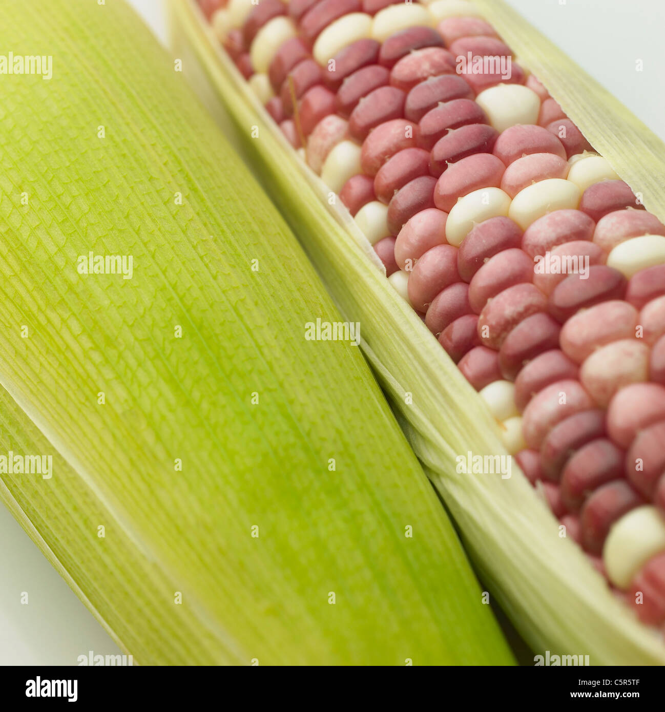 Husk cut out hi-res stock photography and images - Alamy