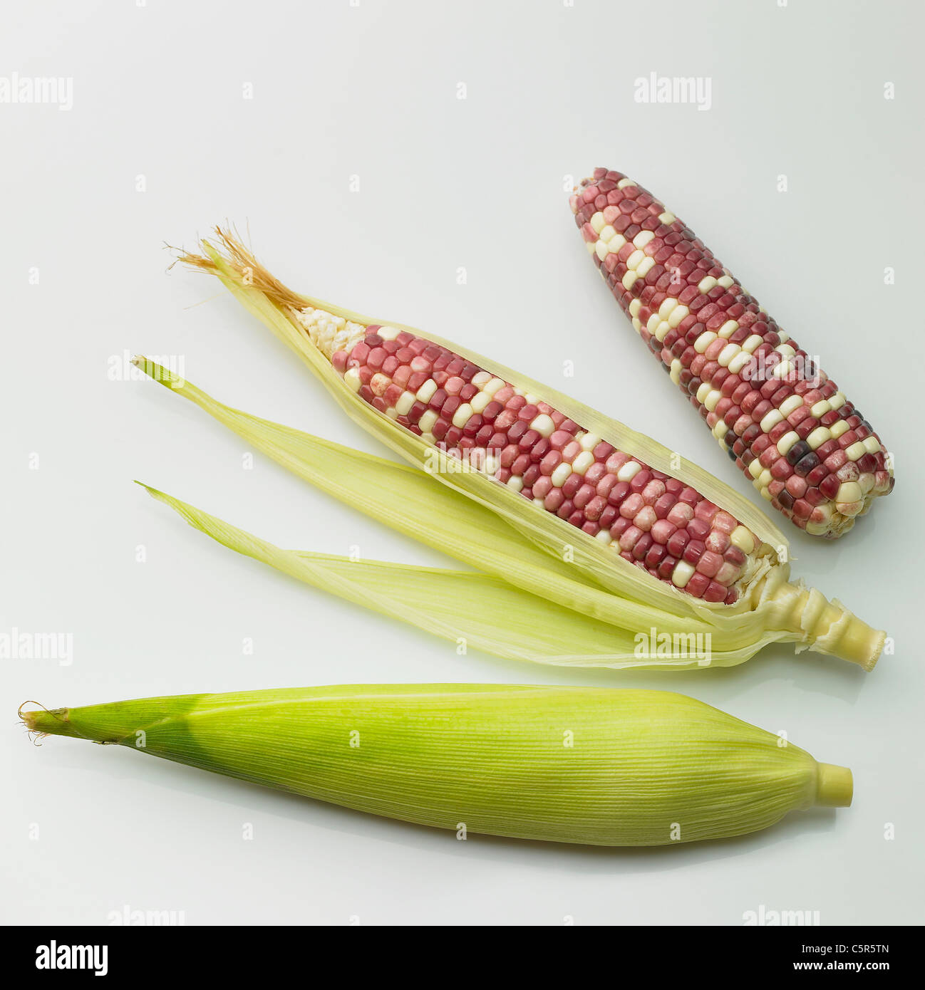 Corn husk studio hi-res stock photography and images - Alamy