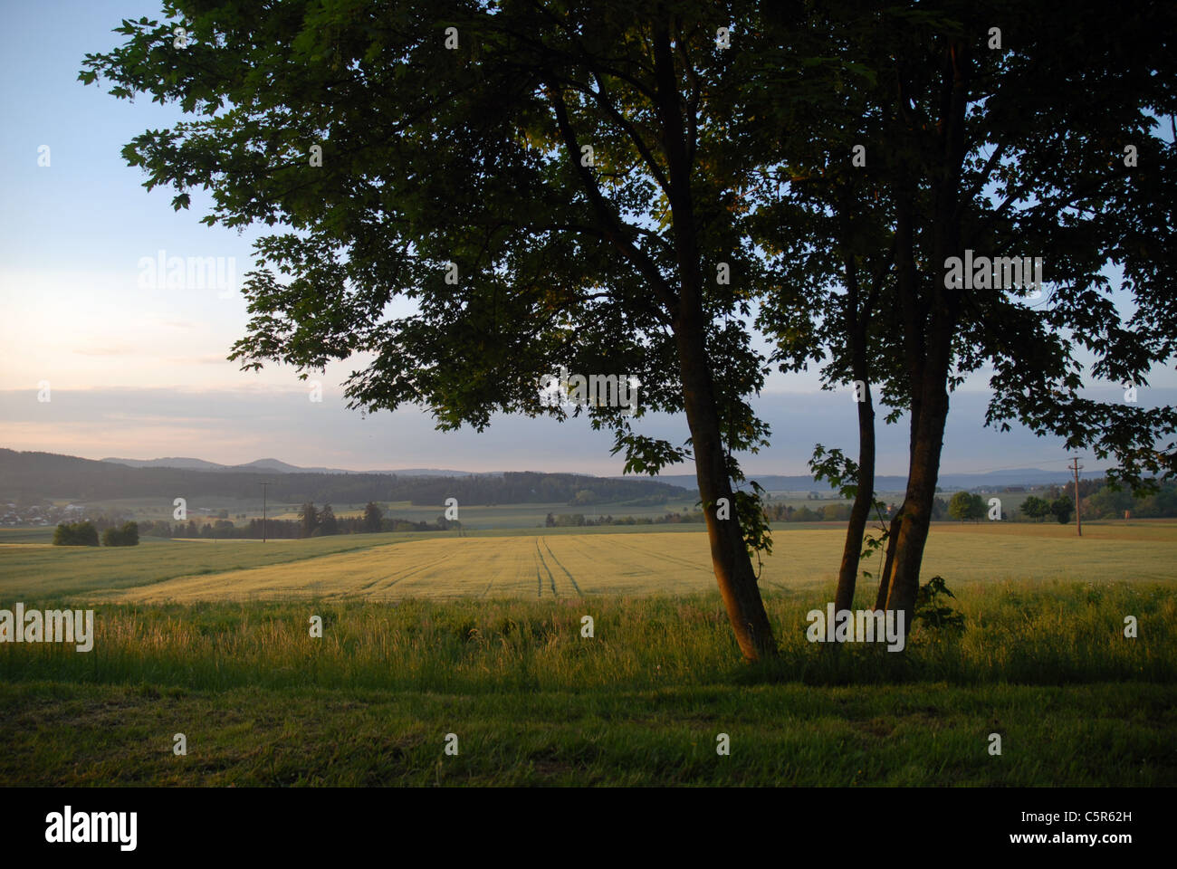 German countryside near Colditz, Germany Stock Photo - Alamy