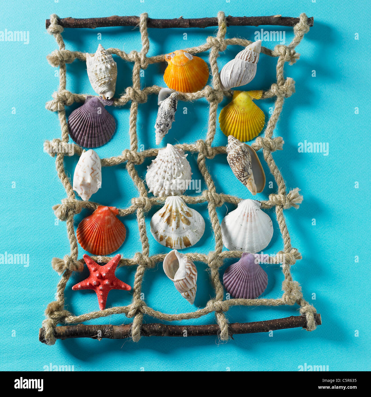 Many kinds of sea animals Stock Photo - Alamy