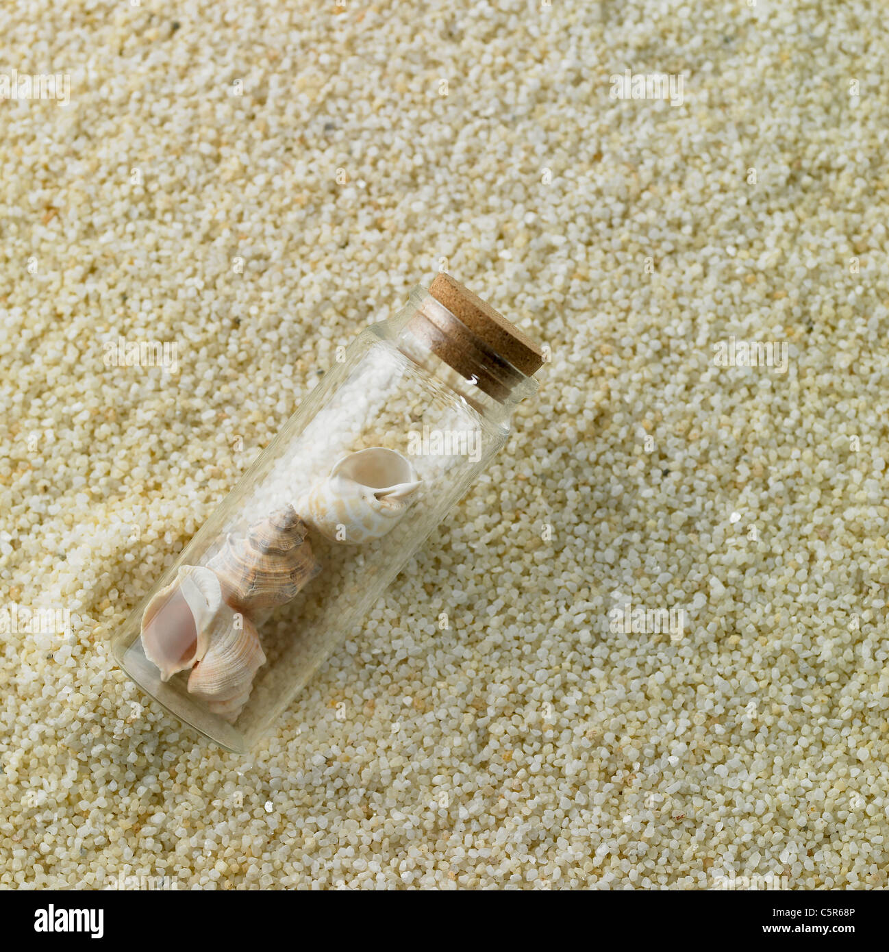 Glass shell hi-res stock photography and images - Alamy