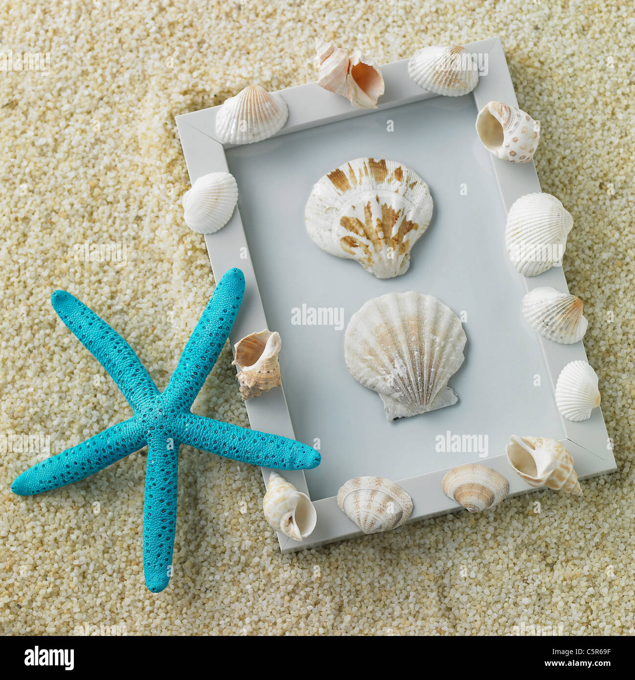 Starfish and picture frames Stock Photo - Alamy