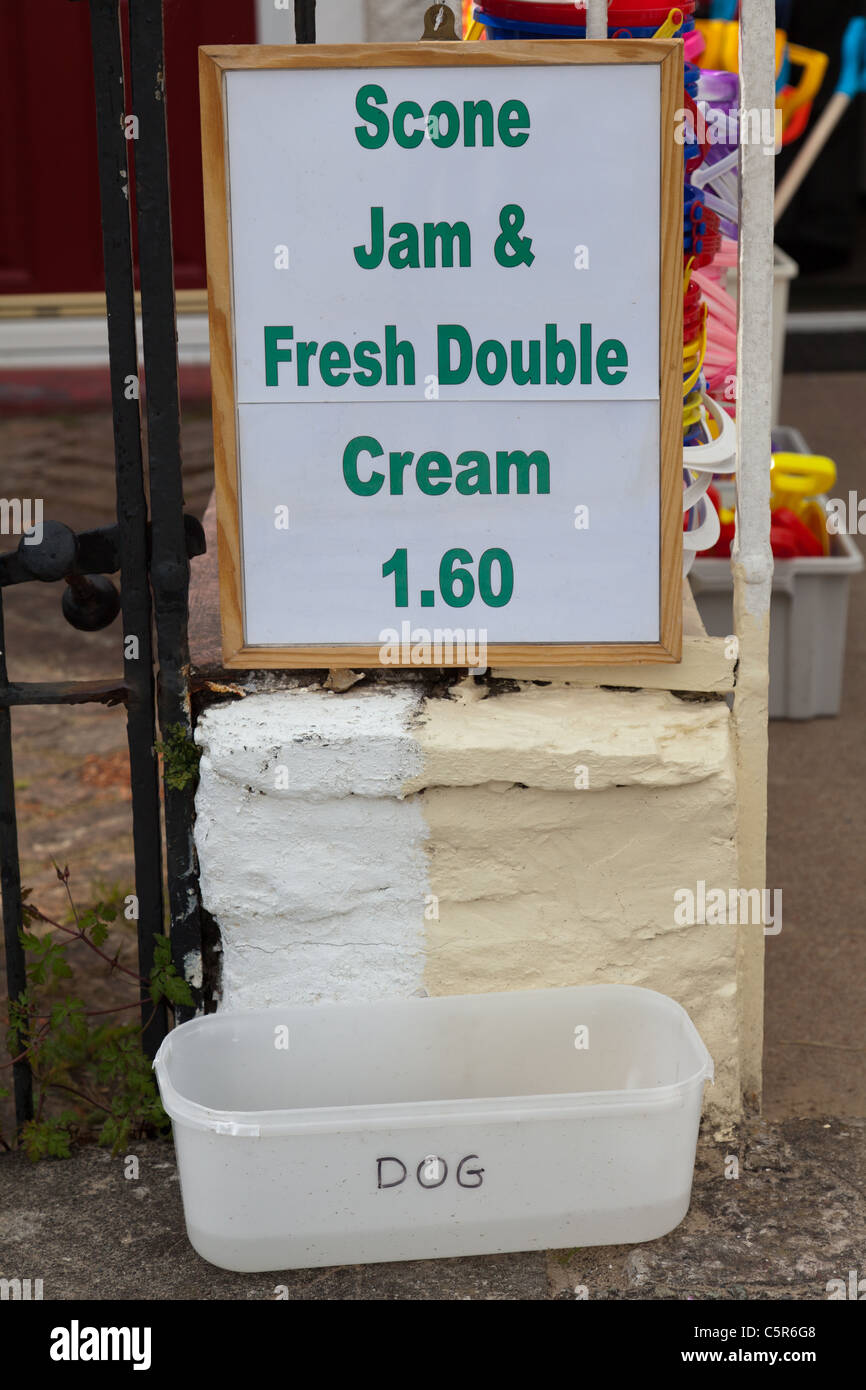 Sign advertising scones and a dog bowl Stock Photo - Alamy
