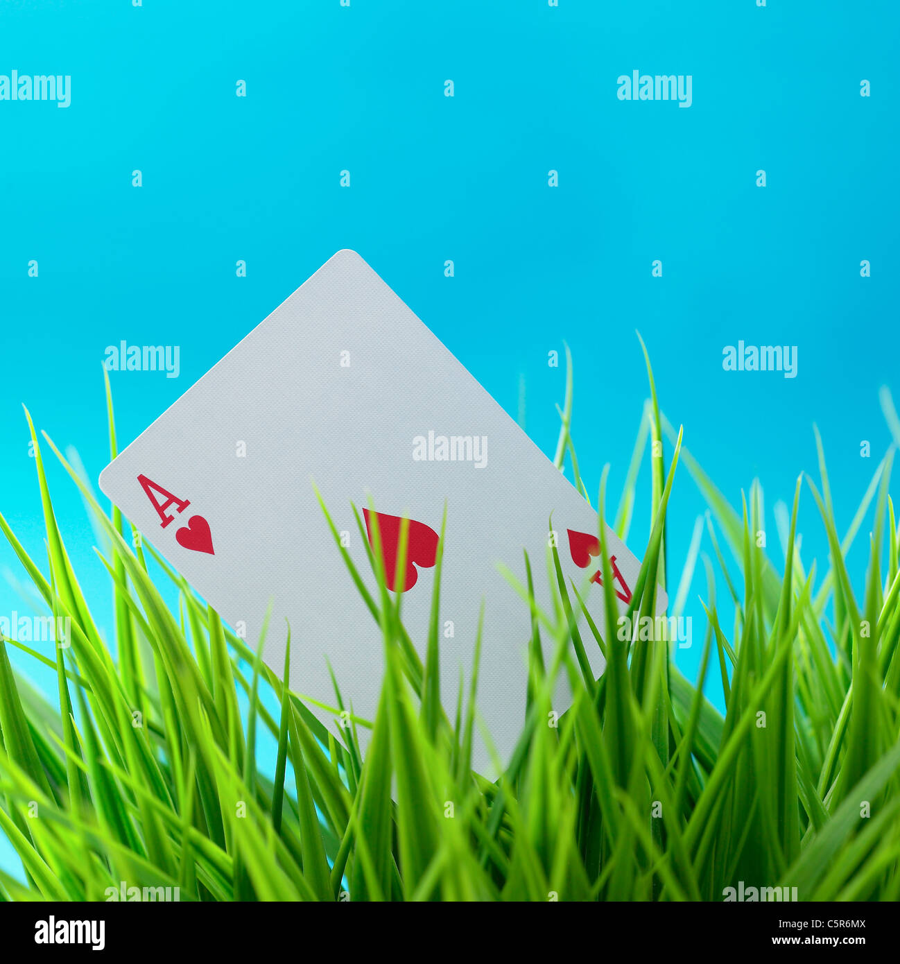 Cutout grass hi-res stock photography and images - Alamy