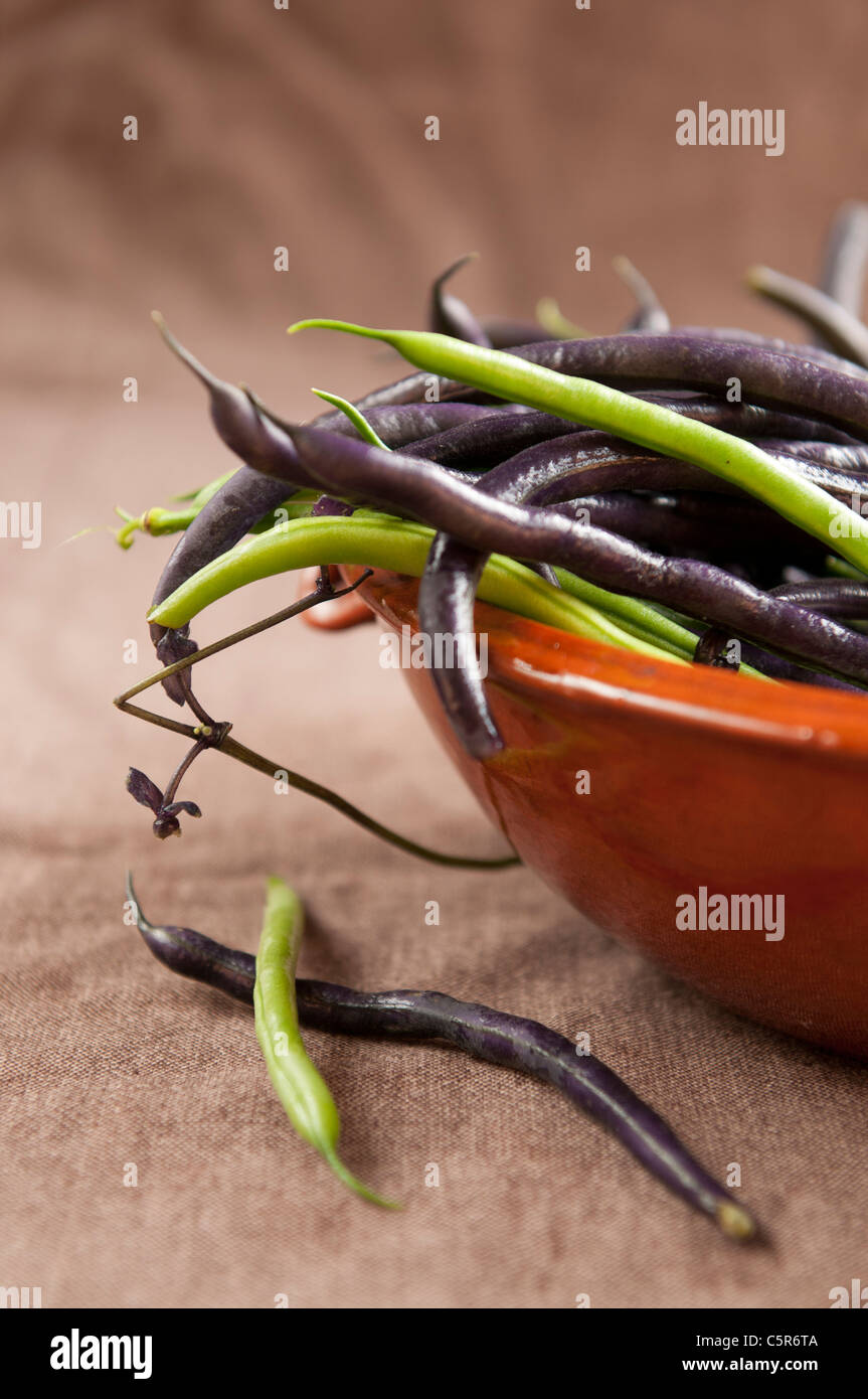Violet beans hi-res stock photography and images - Alamy