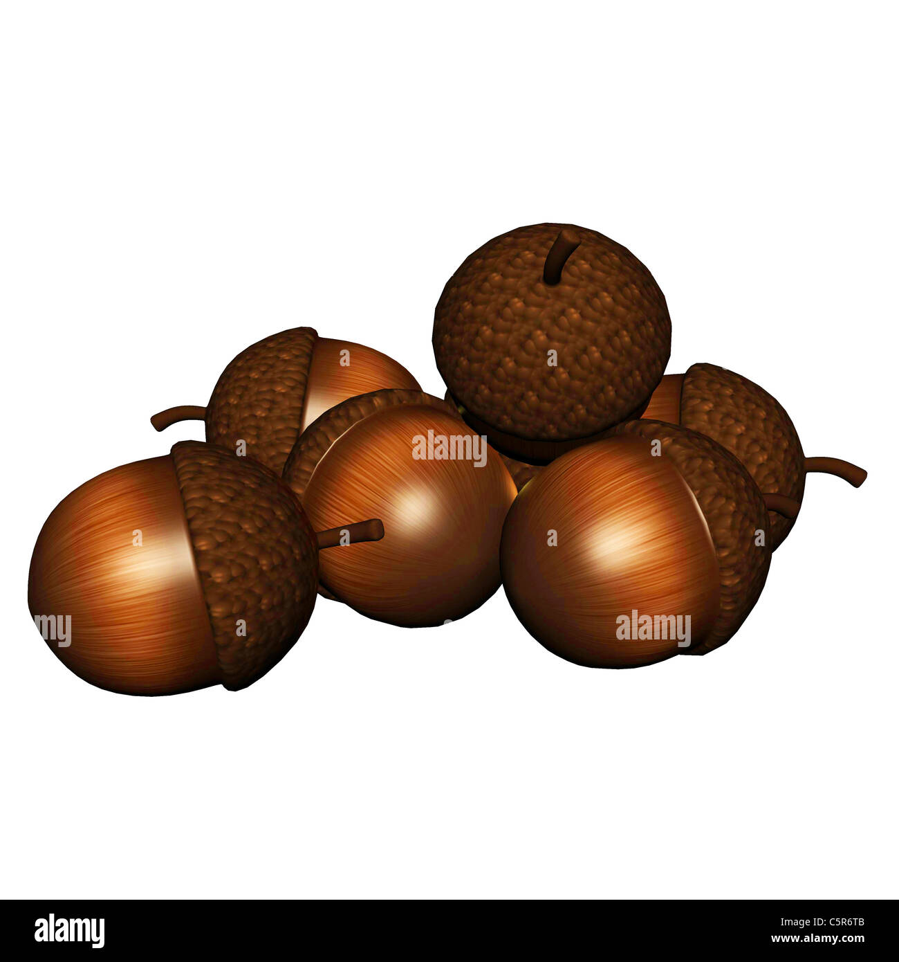 Illustration of nuts isolated on a white background Stock Photo - Alamy