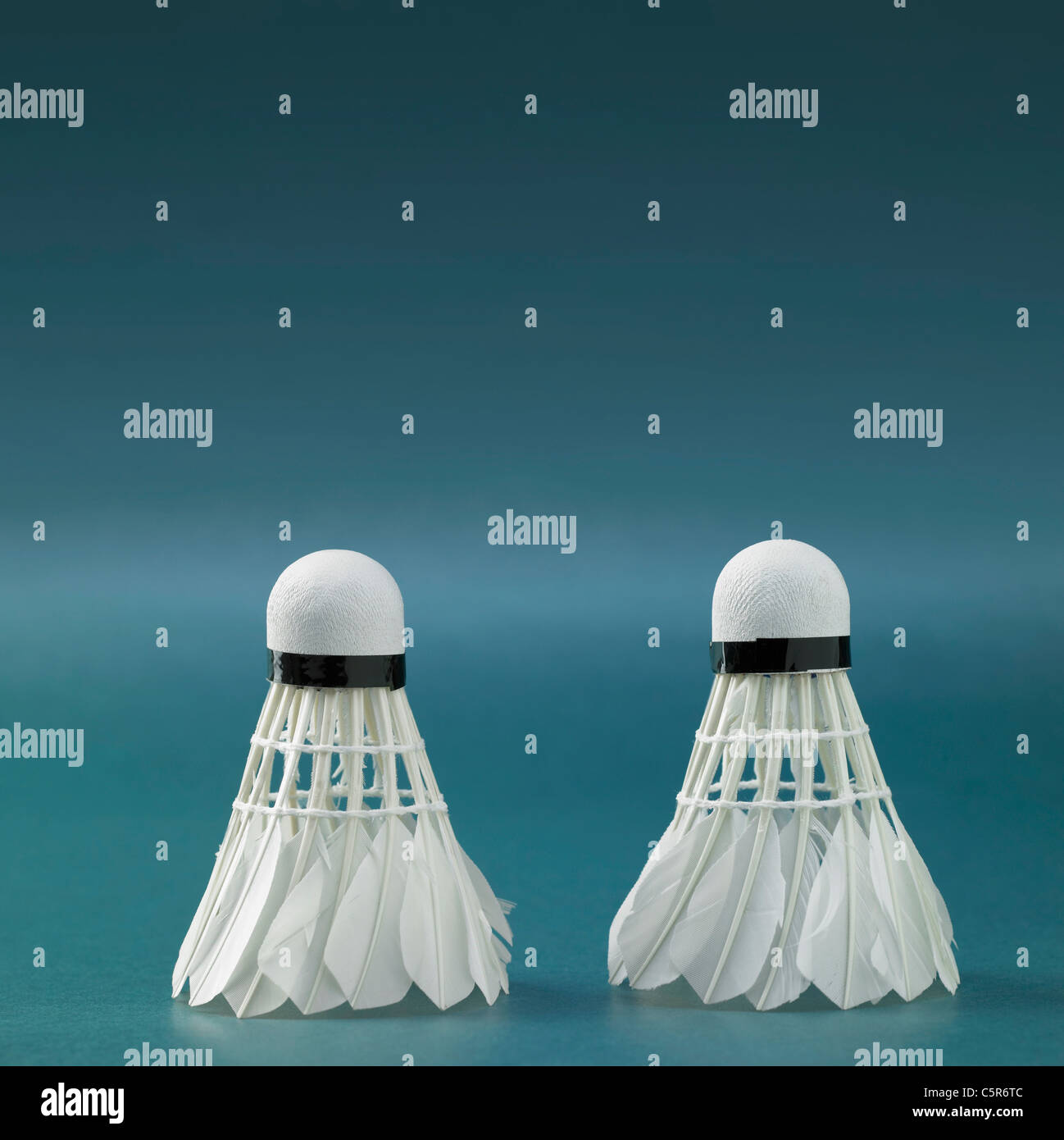 Birdies hi-res stock photography and images - Alamy