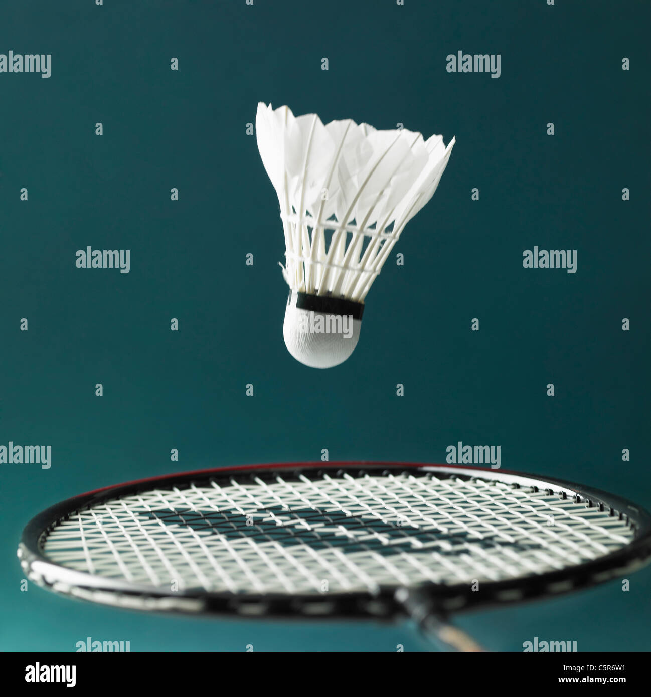 Badminton Racket And Birdie