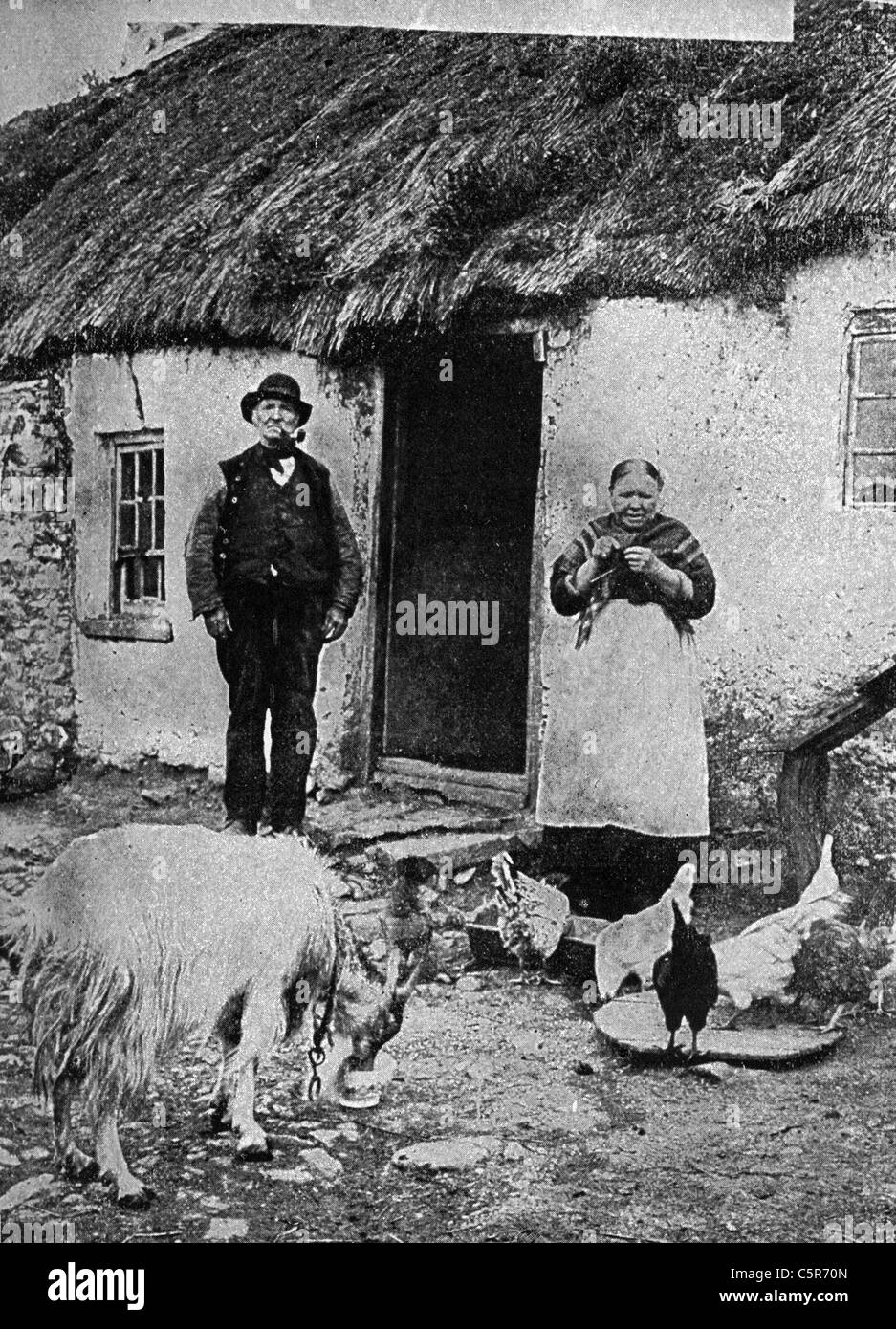 Ireland farm 19th hi-res stock photography and images - Alamy