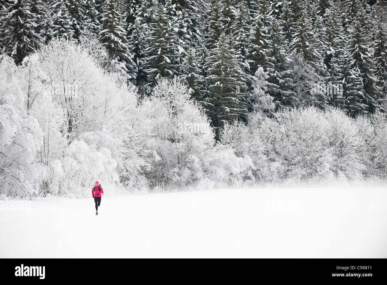 A jogger running through a beautiful snow covered forest Stock Photo ...
