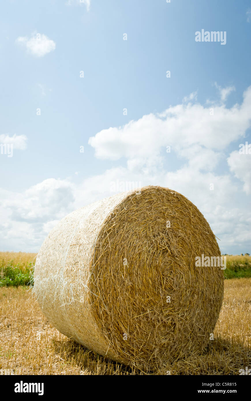 bundle of straw with golden color Stock Photo - Alamy
