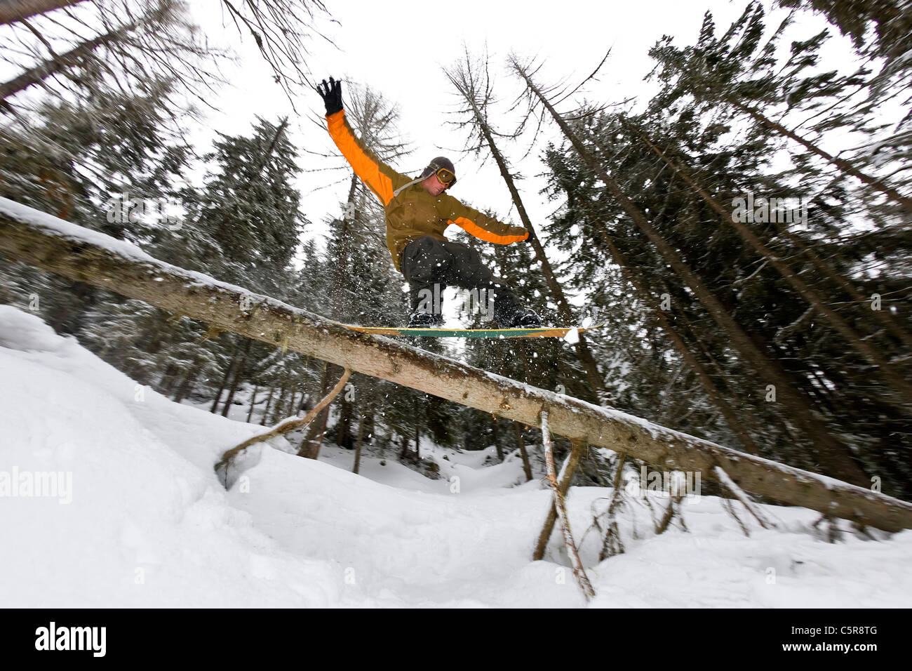 A snowboarder riding the back country sliding over a a fallen tree ...