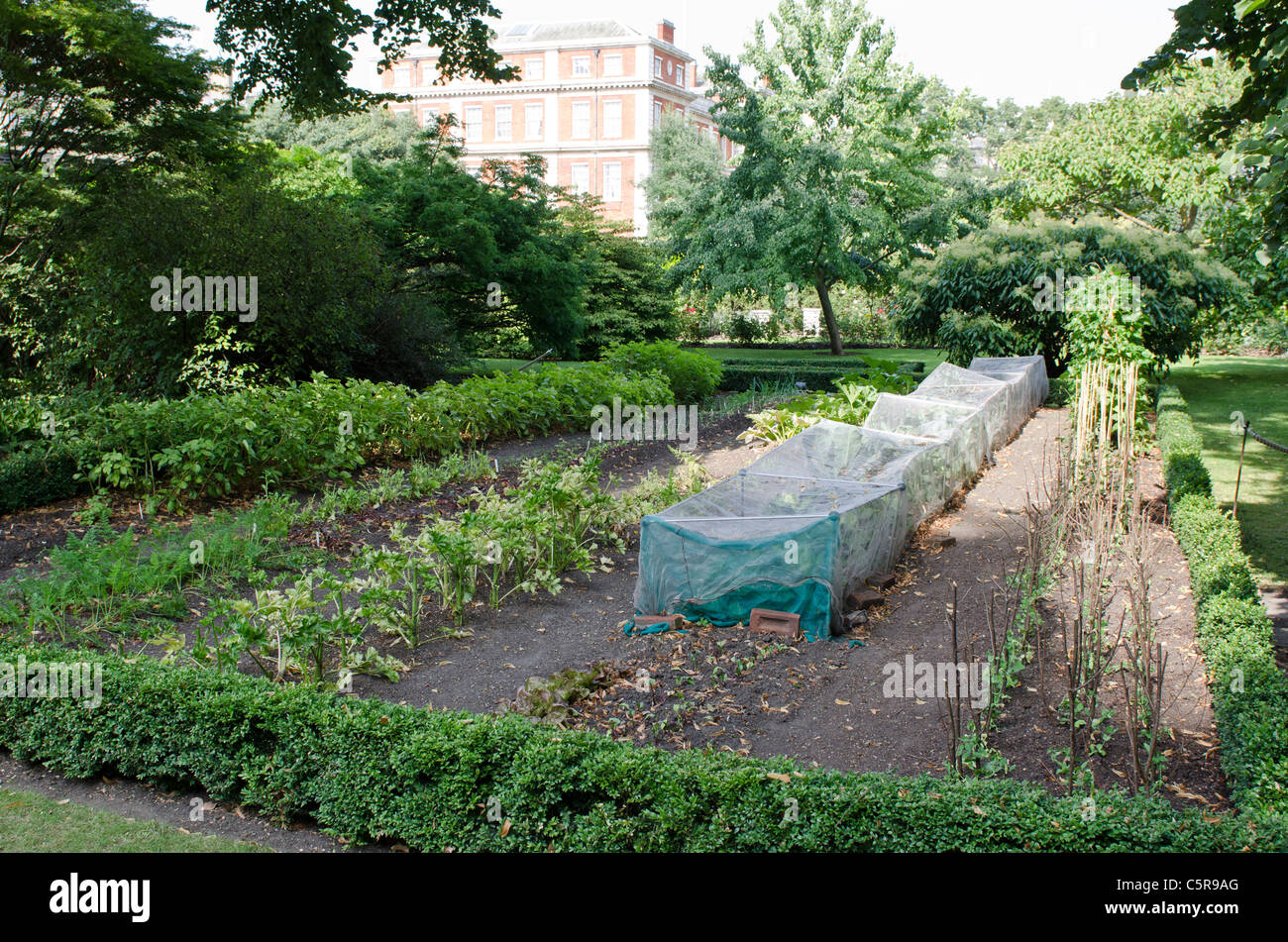Royal plot hi-res stock photography and images - Alamy
