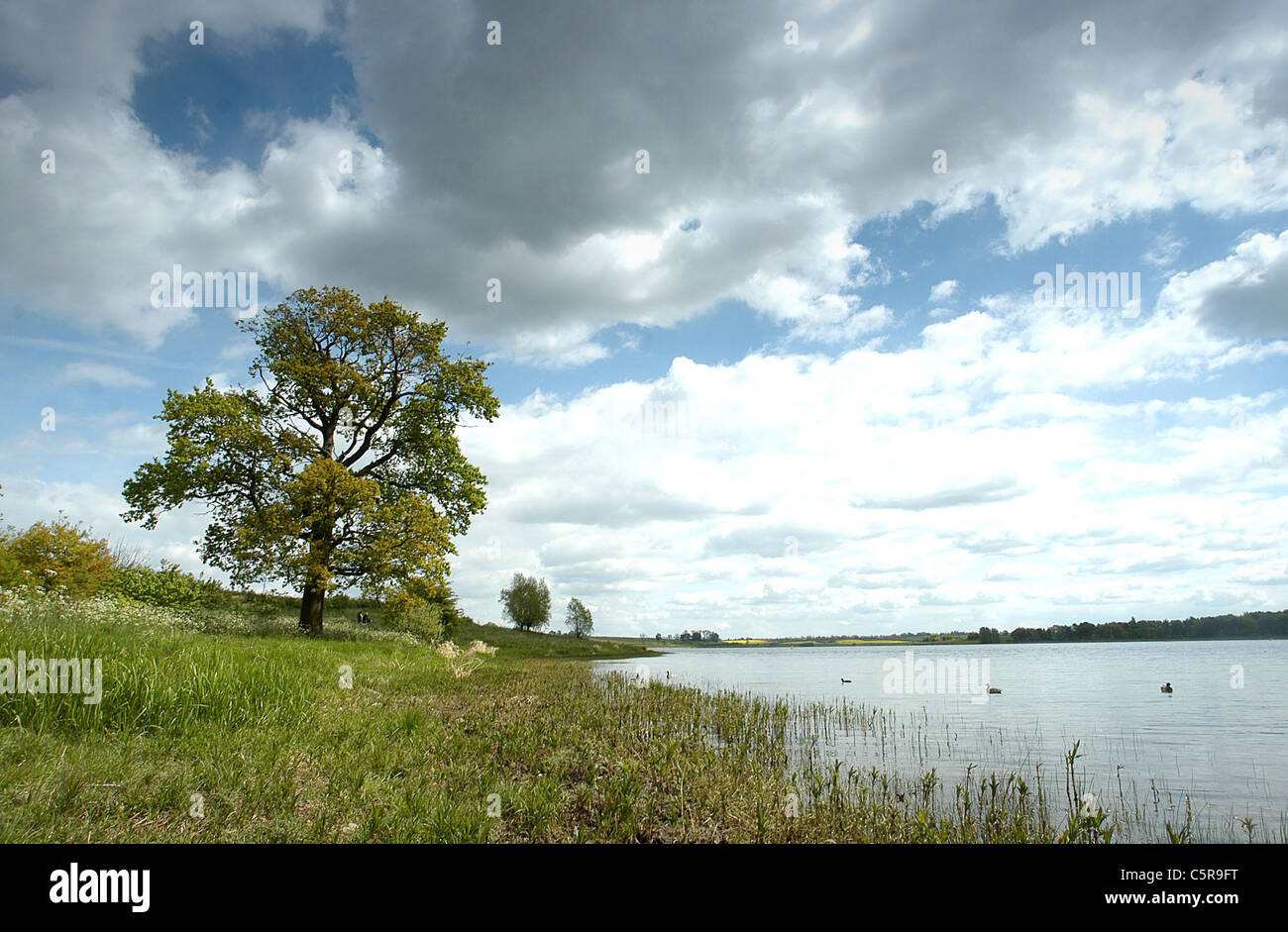 Matt Gore Stock Photos & Matt Gore Stock Images - Alamy