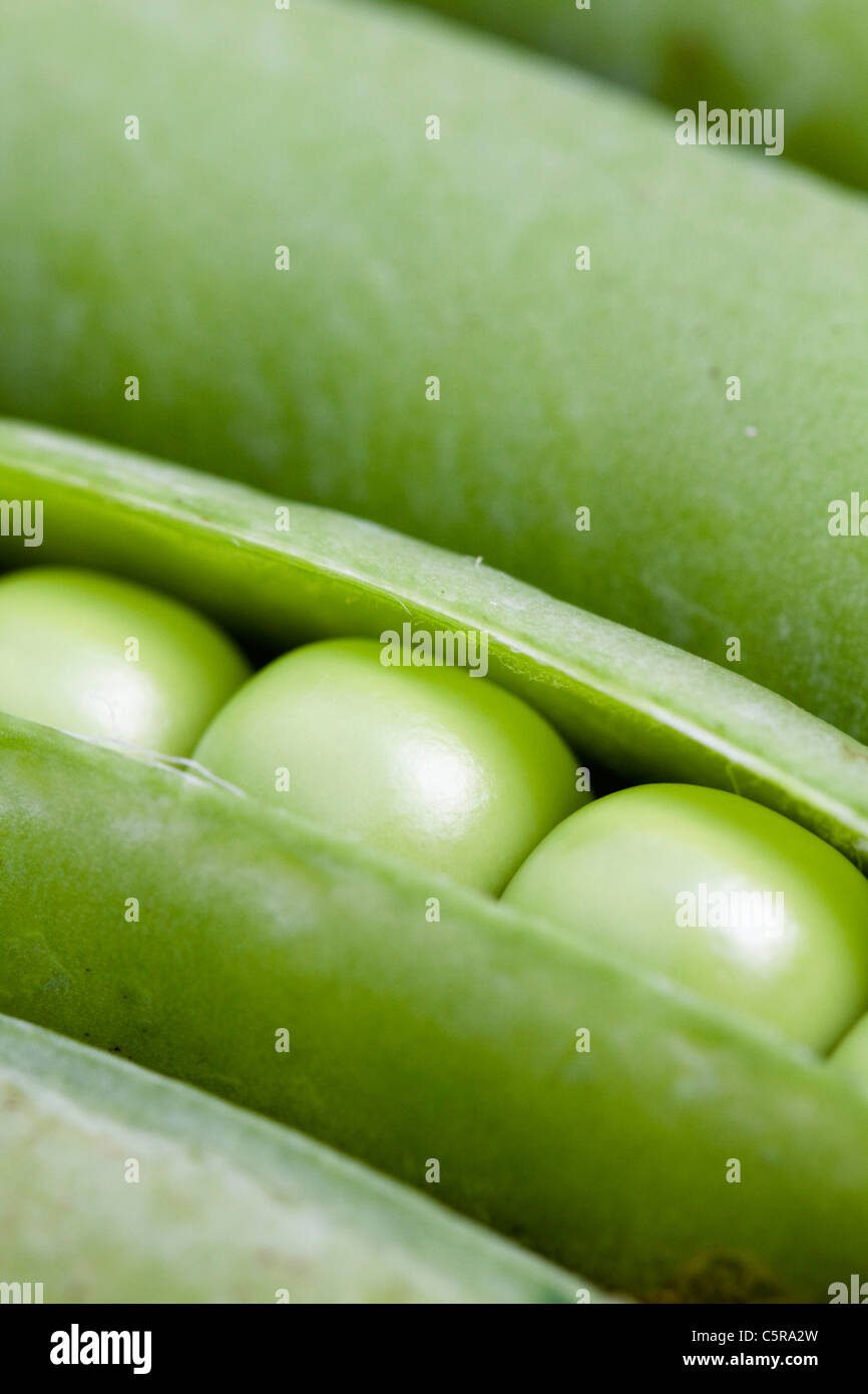 Pea pod plant hi-res stock photography and images - Alamy