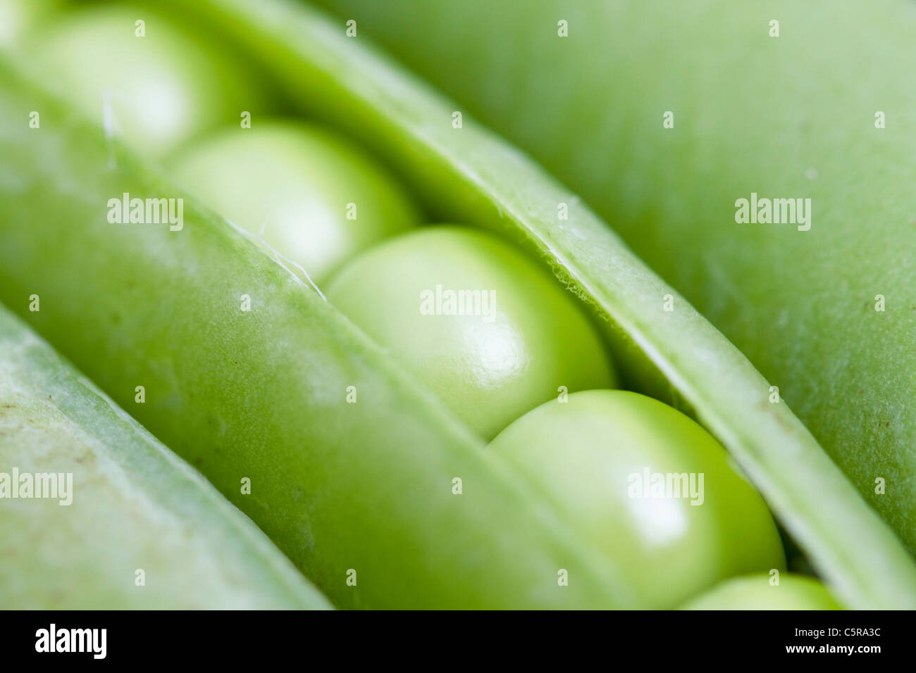 Pea Pod Stock Photos & Pea Pod Stock Images - Alamy